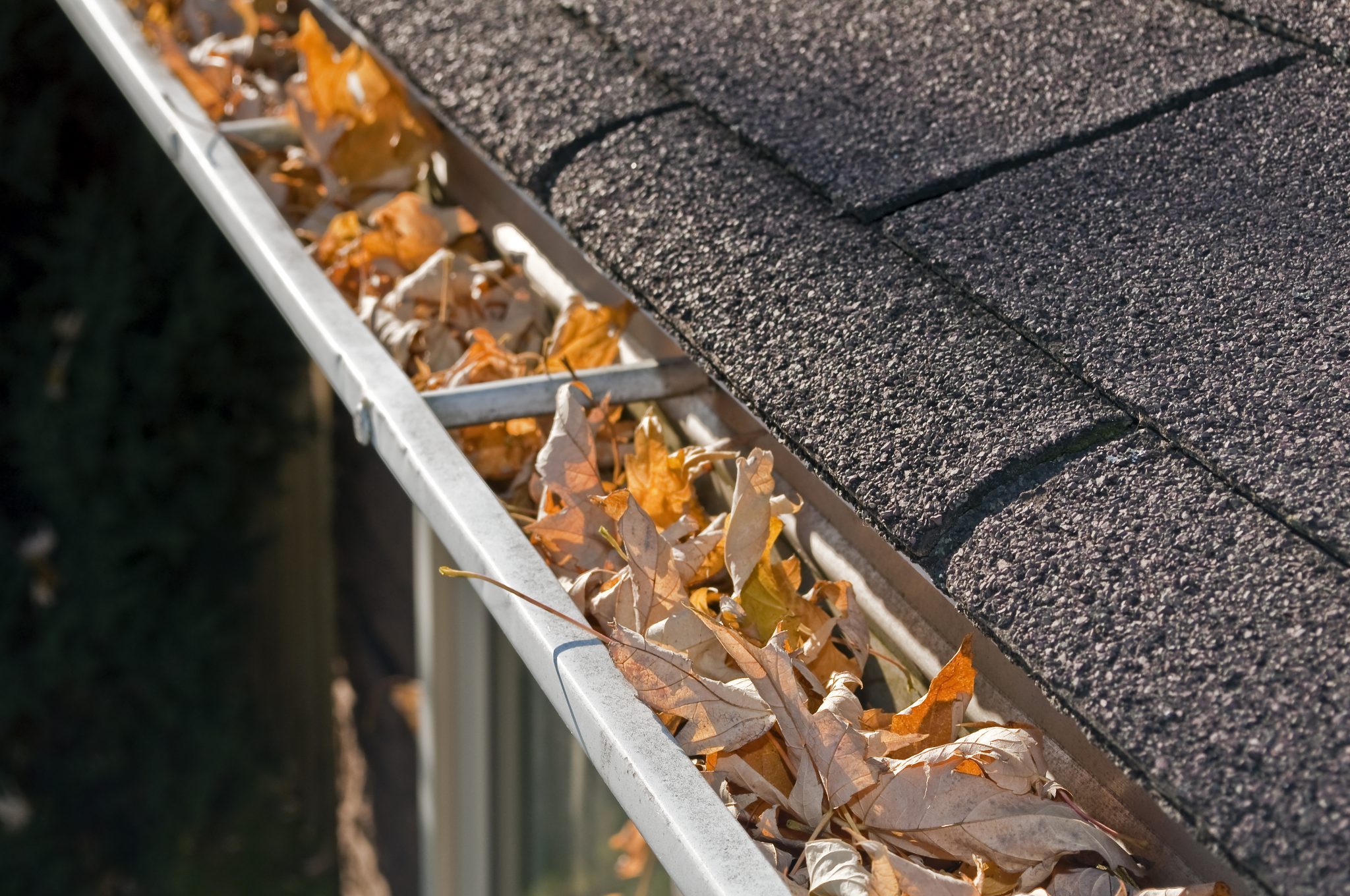 Get Your Gutters Ready for the Fall Season - Garlock-French Roofing