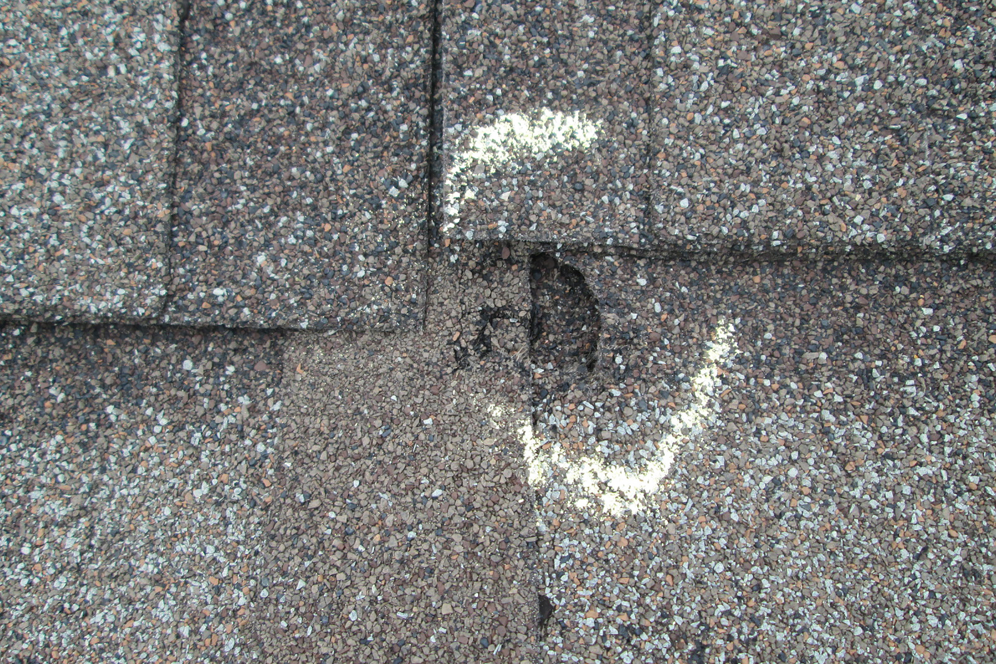 Complete Storm Roof Damage Guide